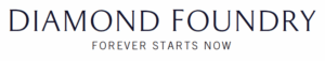 Solo Founder Start-ups: a behind-the-scenes look at the reasons for ...