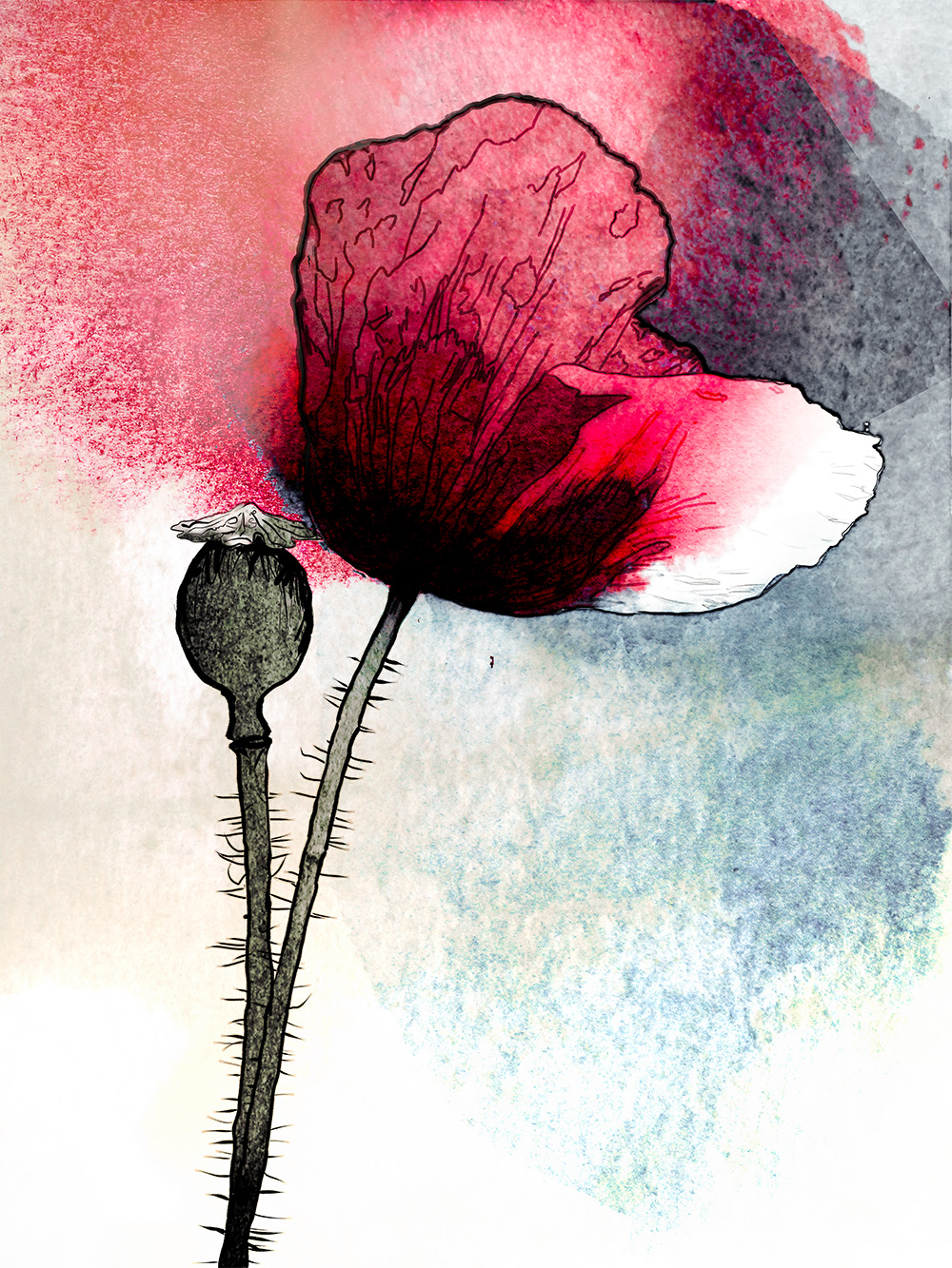 Poppy Seed Pod watch - UnconstrainedTime